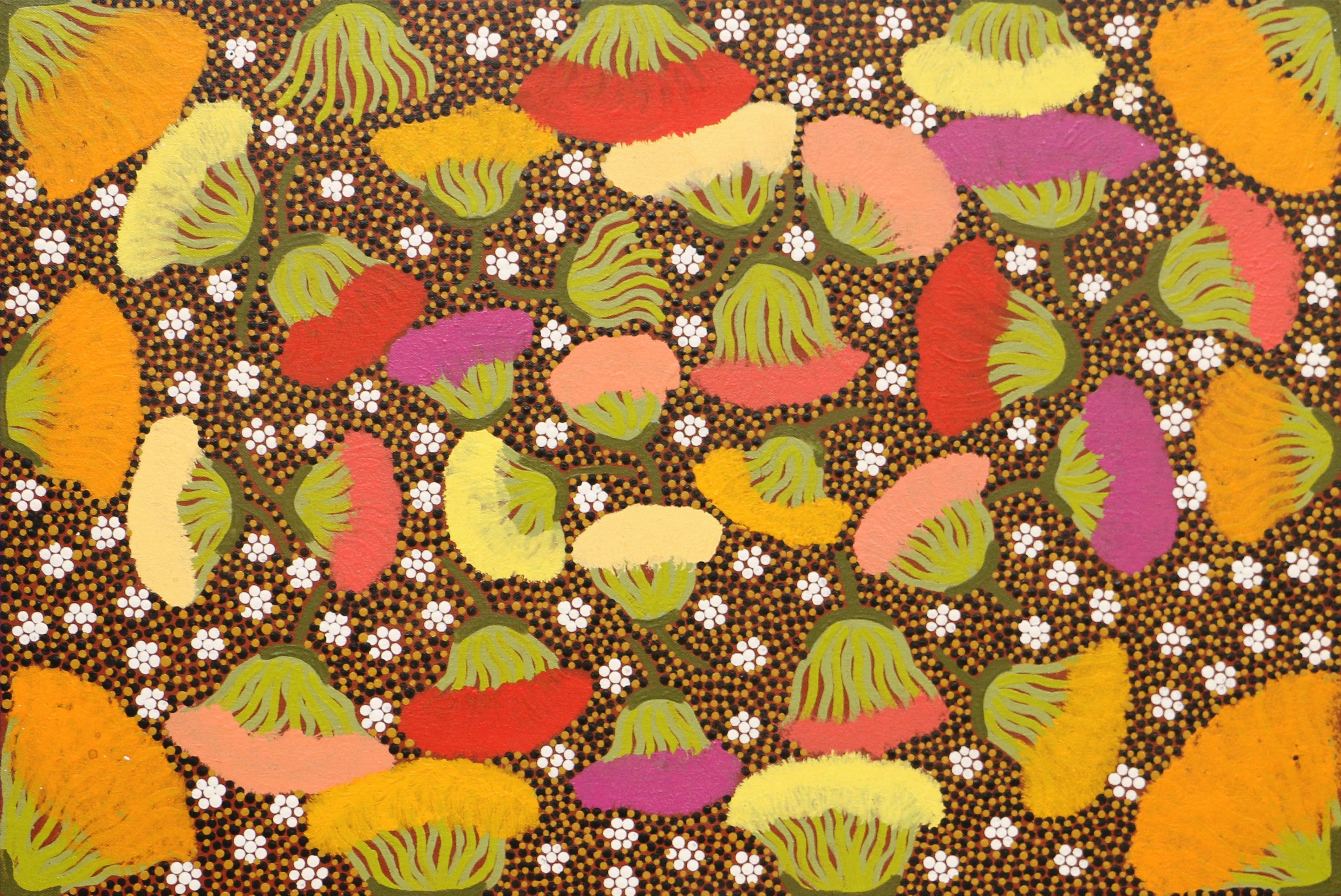 Bush Tucker Flowers, 61x41cm – Artists of the Barkly
